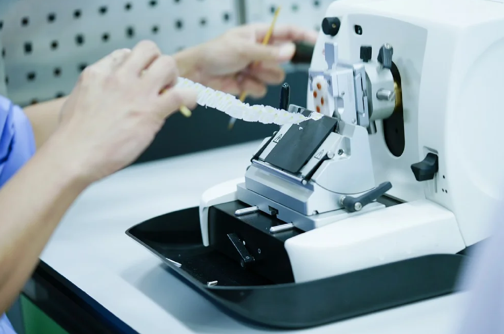 Successful microtome sectioning of tissue with the right blade — Alleima